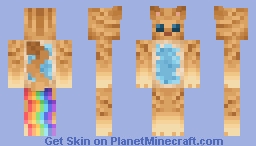 orange poptart cat Minecraft Skin