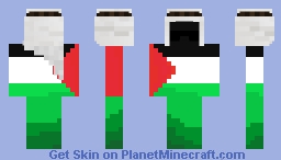 Palestine & Glasses Minecraft Skin