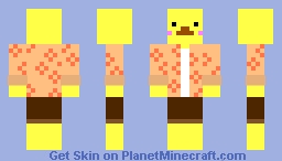 Summer Duck Steve V Minecraft Skin