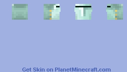 D. Middi Minecraft Skin