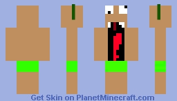 DD Minecraft Skin