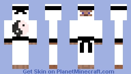 Karate Steve Minecraft Skin