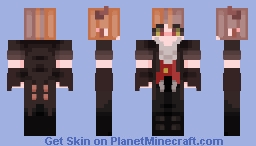 DND Arctic Minecraft Skin