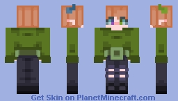 Super Gay Arctic Minecraft Skin