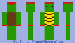 Turtle Minecraft Skin