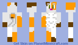 Cat Minecraft Skin