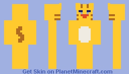 Animaster Minecraft Skin