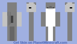 Dolphin Minecraft Skin