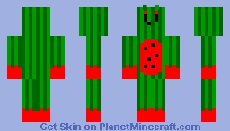 WaterMelonCat Minecraft Skin