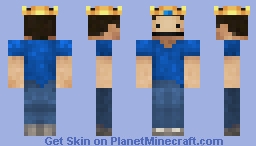 CAT COSTUME Minecraft Skin
