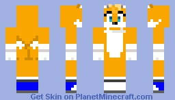 Blue Shoes Tails Minecraft Skin