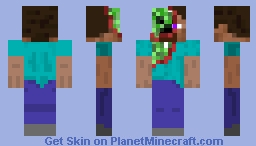 Creeper half Steve Minecraft Skin