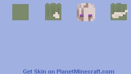 Character mask Minecraft Skin