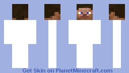 Steve's Head Minecraft Skin