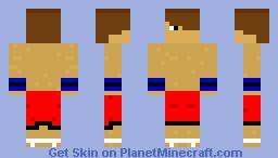 Surfer Guy (Brunette) Minecraft Skin