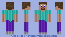 Toon Steve Minecraft Skin