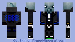 dolphin Minecraft Skin