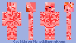 no skin Minecraft Skin