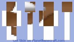 poop Minecraft Skin
