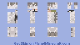 Minecraft Silverfish Minecraft Skin
