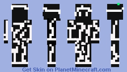 ZT_FIN Minecraft Skin
