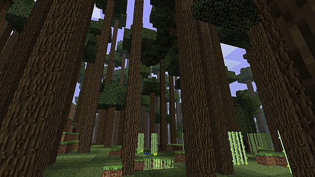 Lonely Woods Minecraft Map