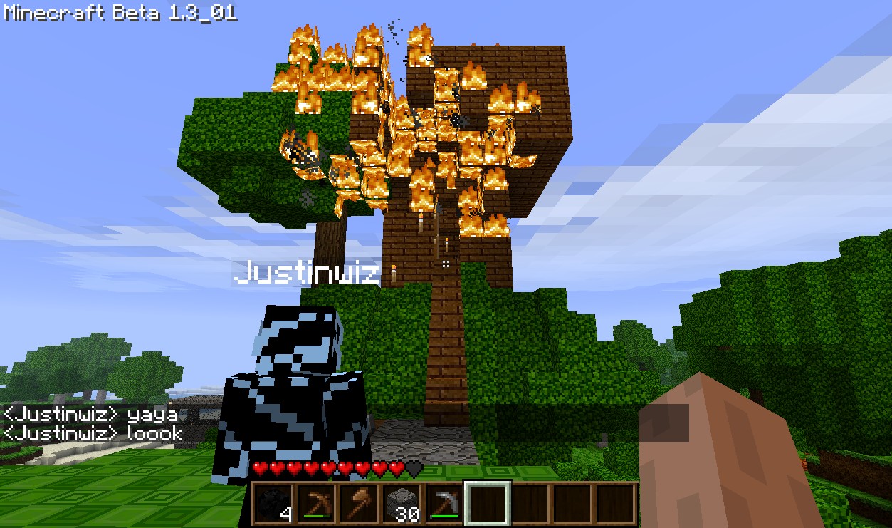 burning a tree house