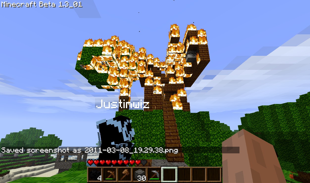 burning a tree house