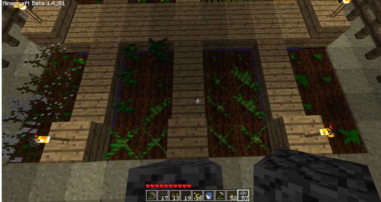 Farm Layout. Minecraft Map