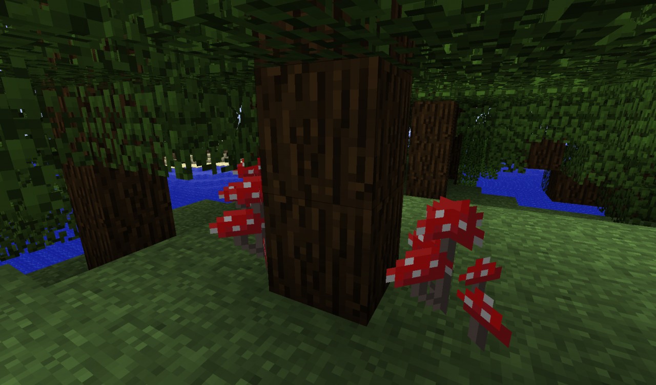 NewMinecraft Minecraft Texture Pack