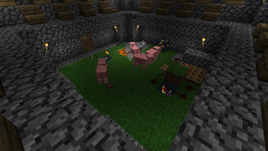 pig gladiator Minecraft Map