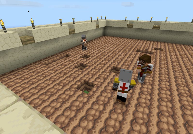 Mat's Freedom Planet Minecraft Server