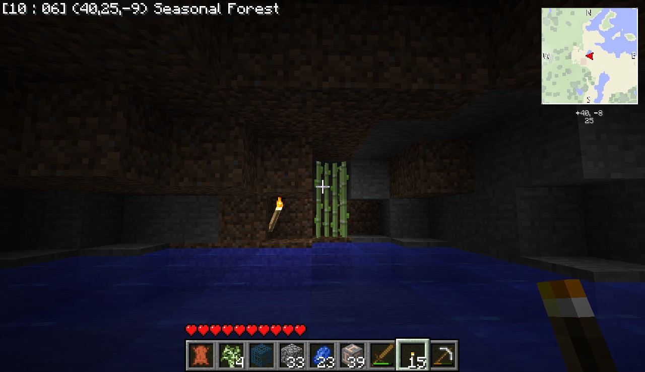 REEDS UNDERGROUND?!?!?