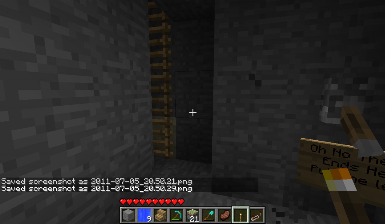 Hidden Ladder and Cool Bridge Mini Tutorials Minecraft Map