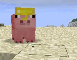 pig and creeper Minecraft Texture Pack