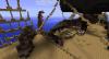 Giant squid attacks ship Minecraft Map
