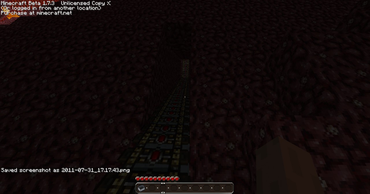 Nether Coaster Minecraft Map