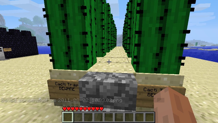 Starter Island or Island Paradise Minecraft Map