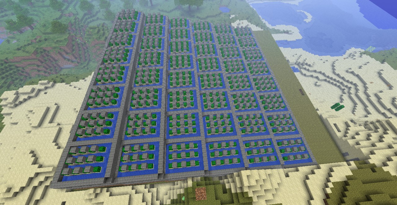 A HUGE cactus farm Minecraft Map