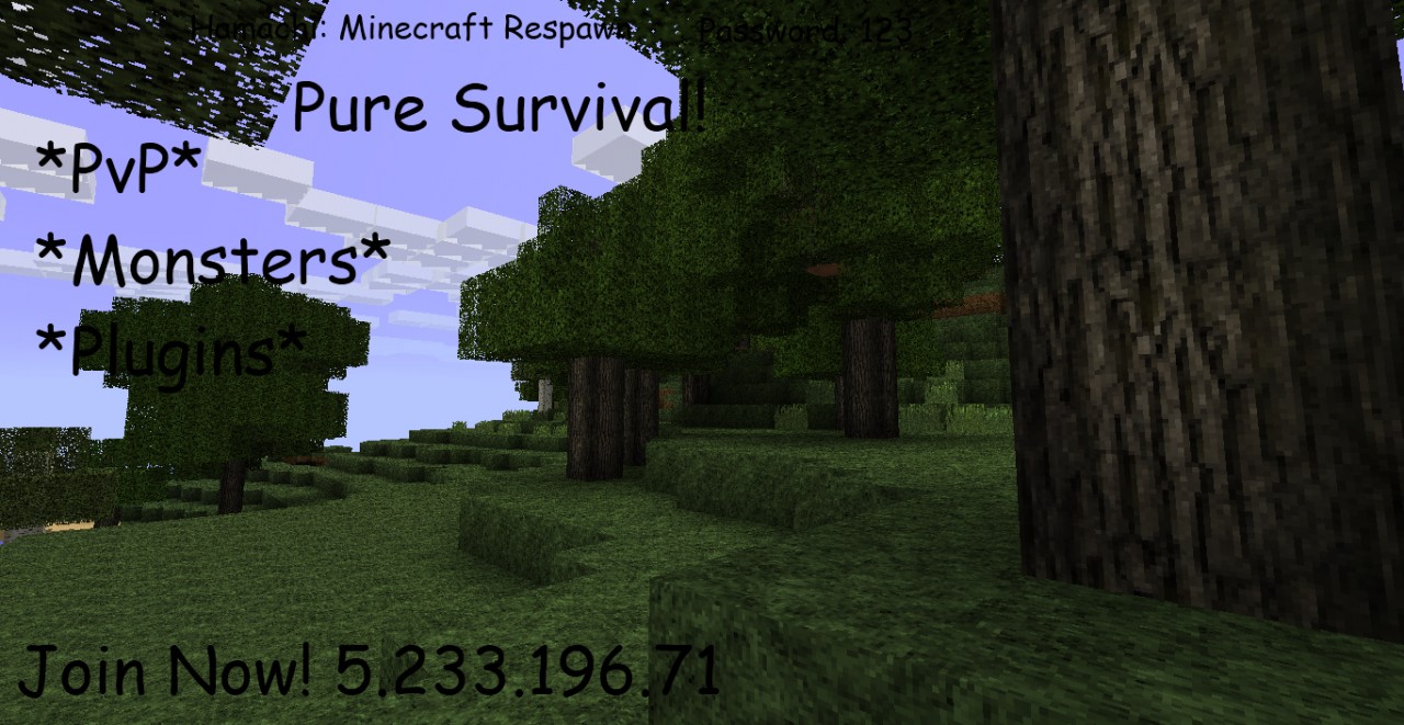 Pure Survival! *SMP* *PvP* *Plugins* Minecraft Server