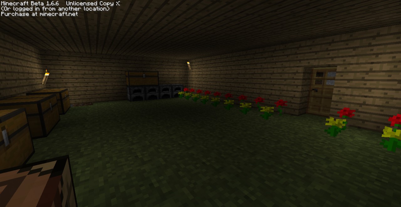 secret library Minecraft Map