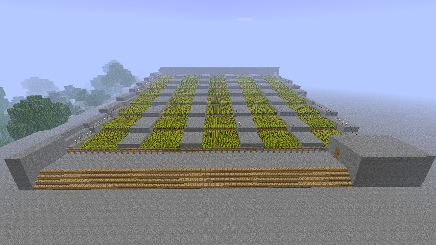 HUGE wheat farm with water collecting feature. includes seeds ...