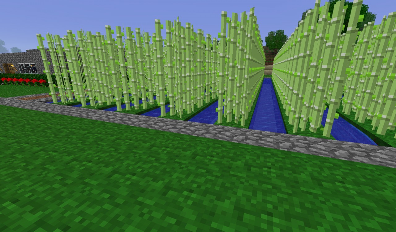 Sugar Cane Farms Minecraft Map