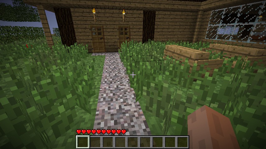 village newest one + farm Minecraft Map