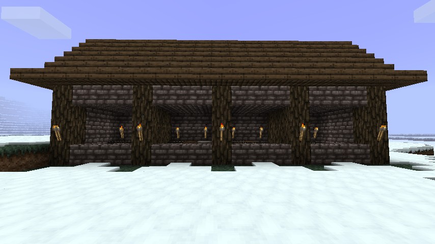 viking shop Minecraft Map