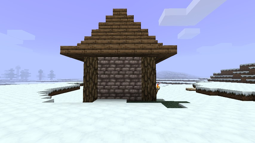 viking shop Minecraft Map