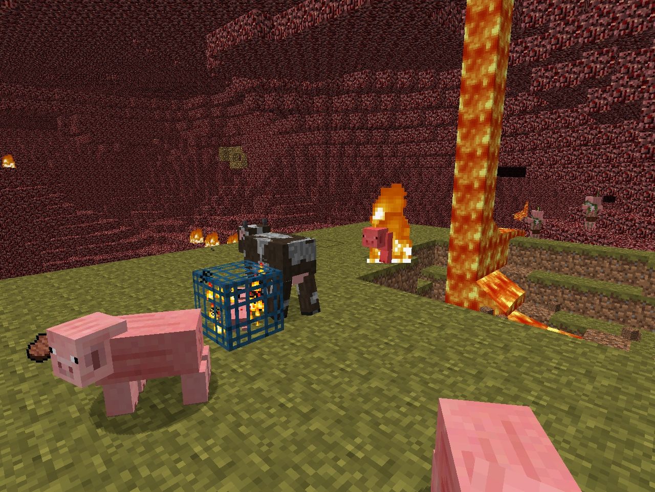 All NPC's in Nether and Normal World Minecraft Mod