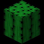 cactus mod Minecraft Mod