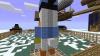Donald Duck Minecraft Map