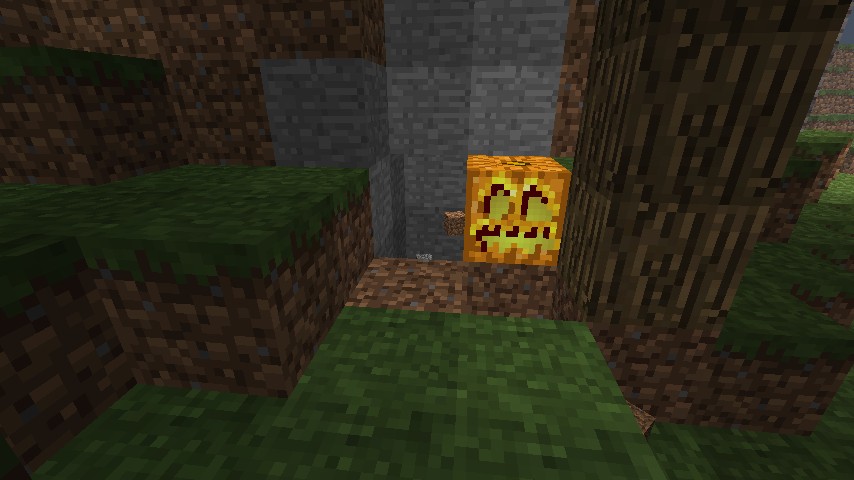 underground garden Minecraft Map